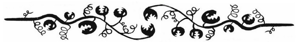 Emily Bones – Die Stadt der Geister - Kinderbuchlesen.de