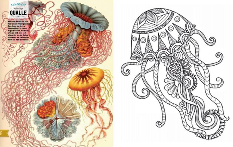 NATUR: Entdecken-Verstehen-Mitmachen : Kinderbuchlesen.de