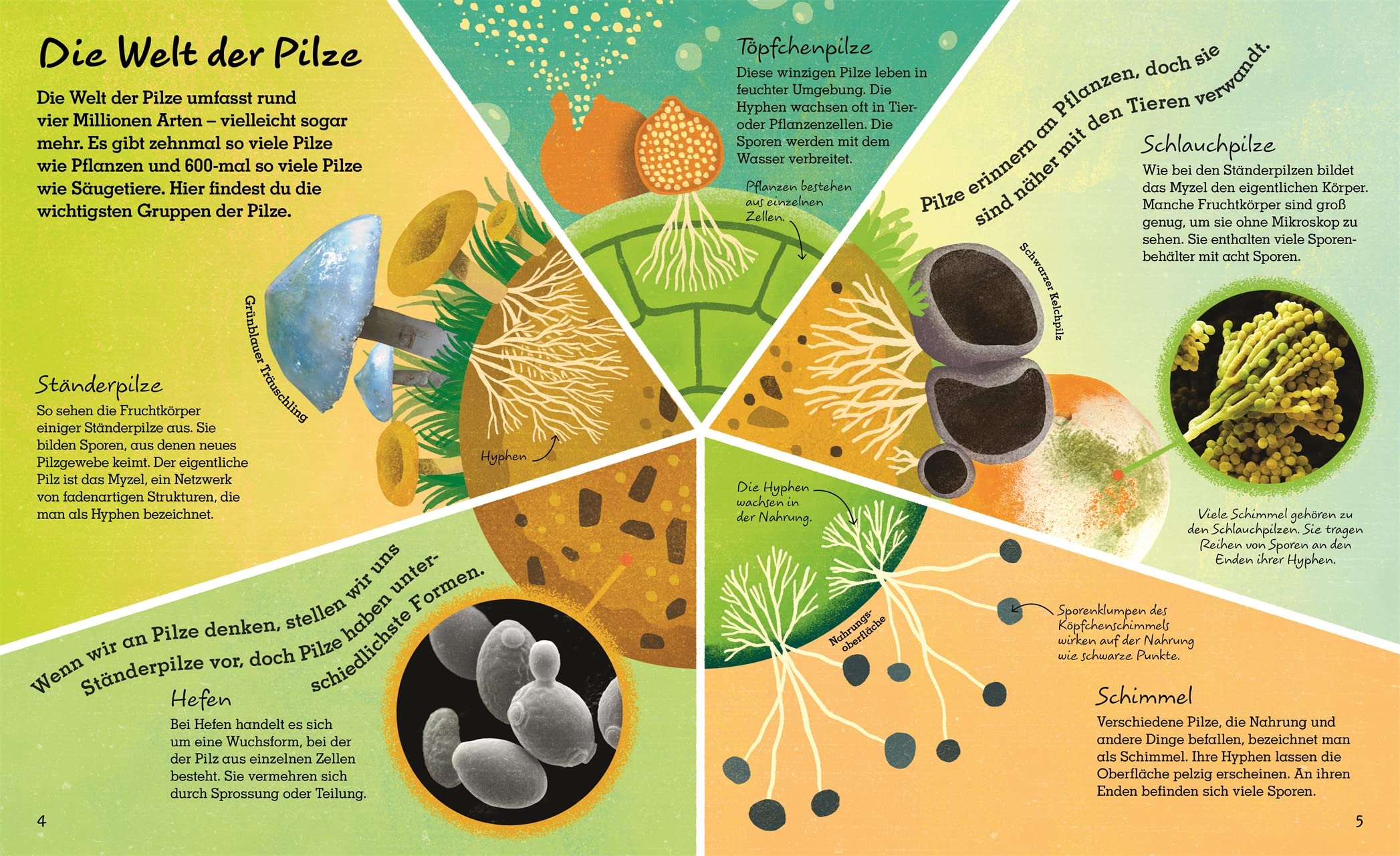 Geheimnisvolle Pilze - Kinderbuchlesen.de